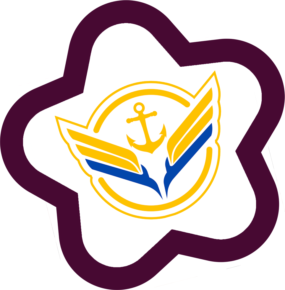 VFleet Project | U.S. IdolFes
